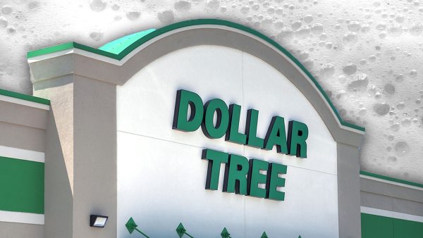 7 Best New Dollar Tree Cleaning Finds Hitting Shelves This Week