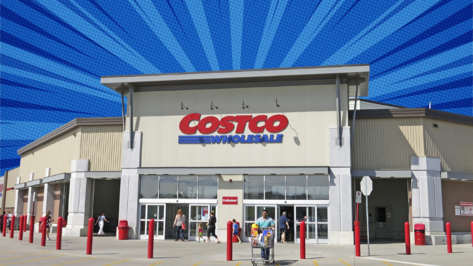 11 Best New Costco and Sam's Club Rugs — Best Life