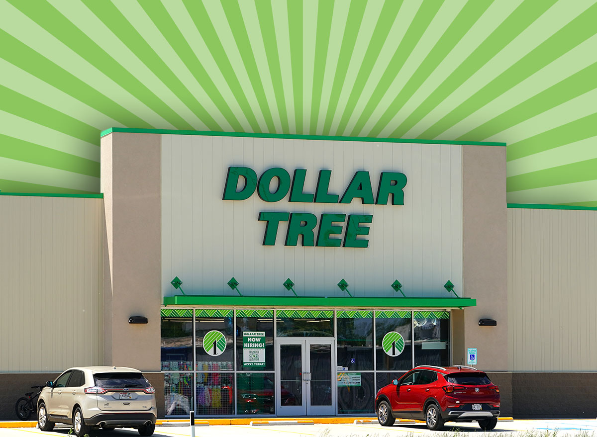 11 Best Dollar Tree New Arrivals This November