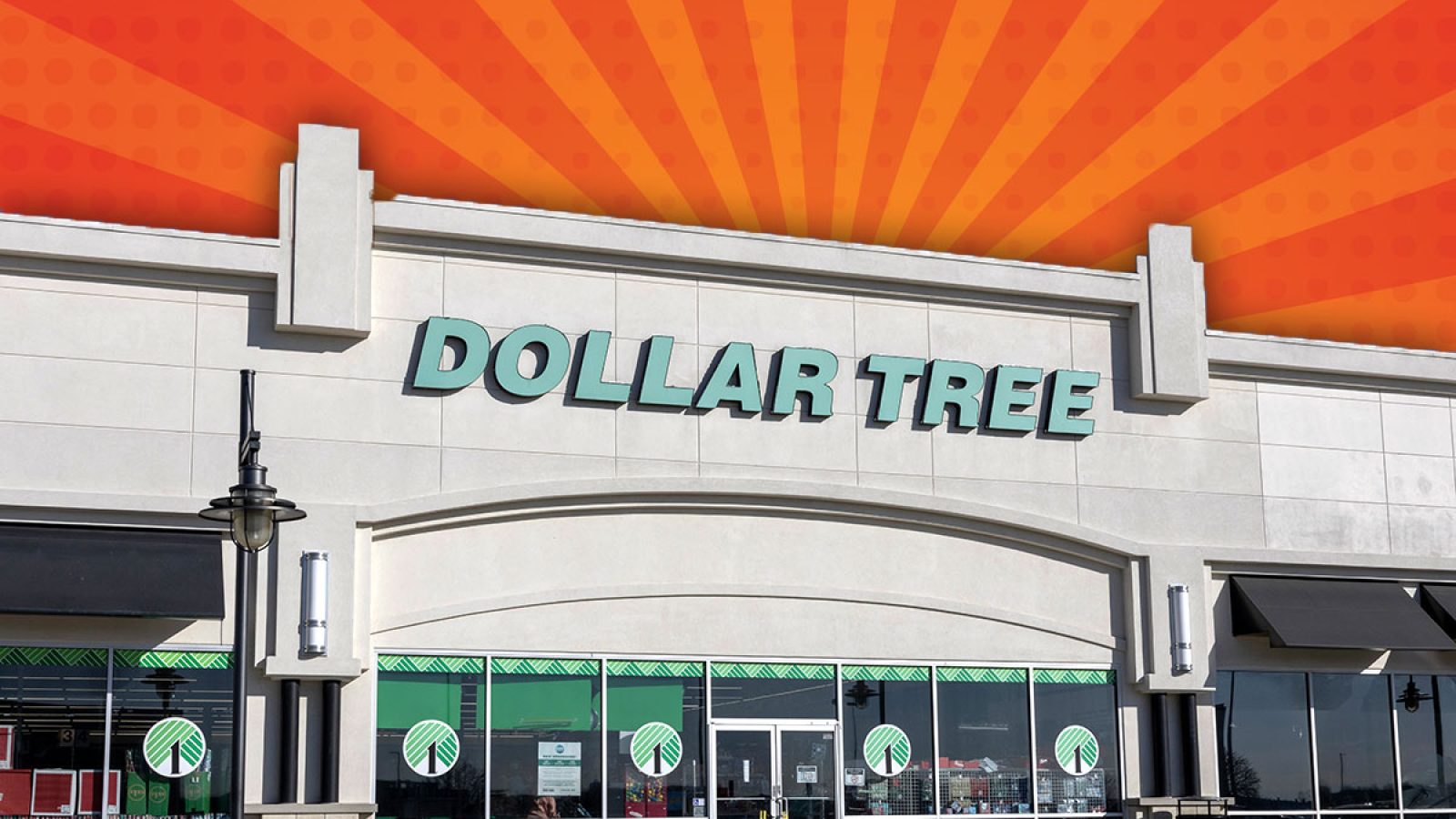 7 Best New Dollar Tree Home Finds Hitting Shelves This October
