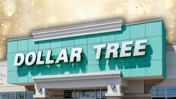 7 Best New Dollar Tree Organization Finds Hitting Shelves This Week