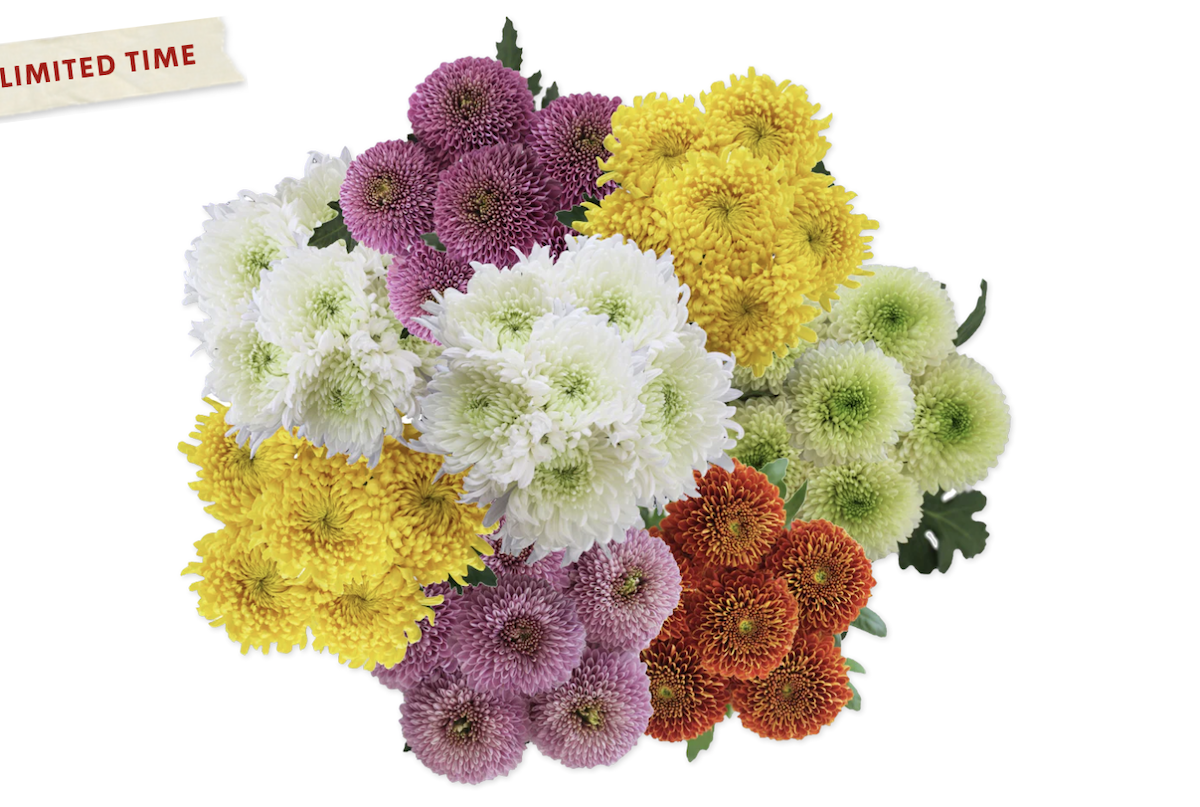 11 Best New Trader Joe’s Seasonal Finds — Best Life