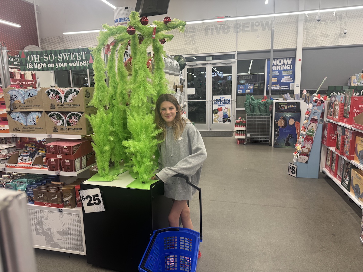 11 Best New Five Below Christmas Decorations I Just Found in Stores