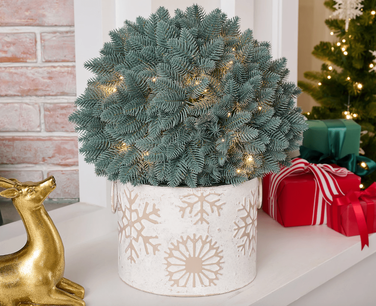 11 Best New QVC Christmas Finds Dropping Online This Week — Best Life
