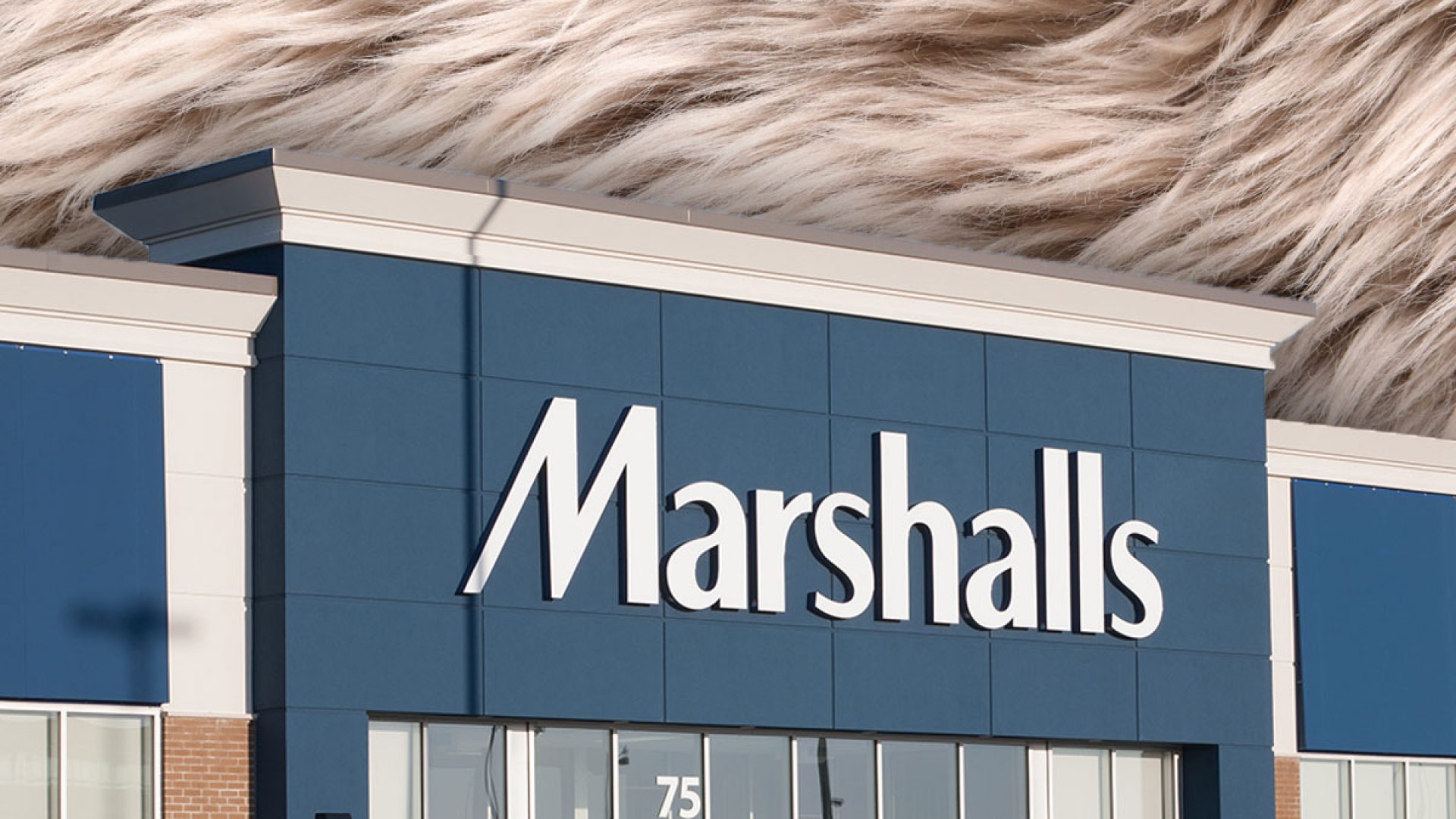 6 Marshalls Rugs That Look Like They Cost Way More Than They Did