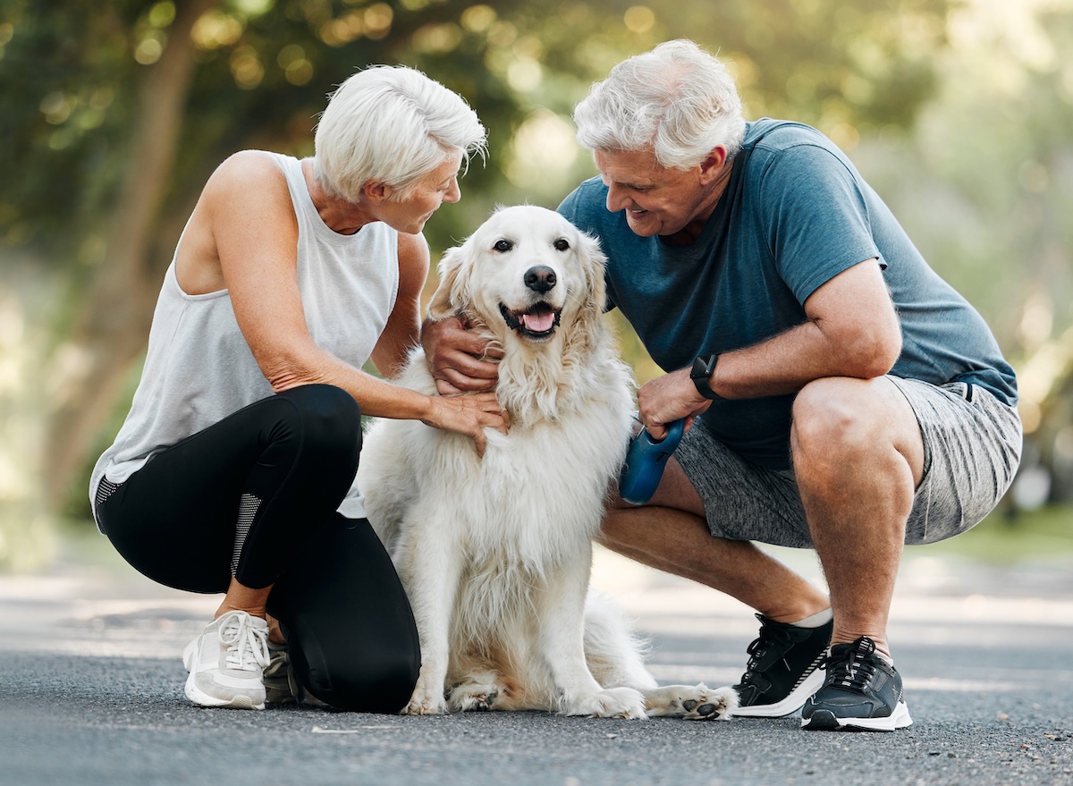 10 Best Dog Breeds for Senior First-Time Dog Owners, According to ...