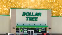 Dollar Tree Penny Items Revealed: Here Is Everything You Can Get for ...