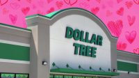 7 Best Dollar Tree Decor Finds Hitting Shelves This January