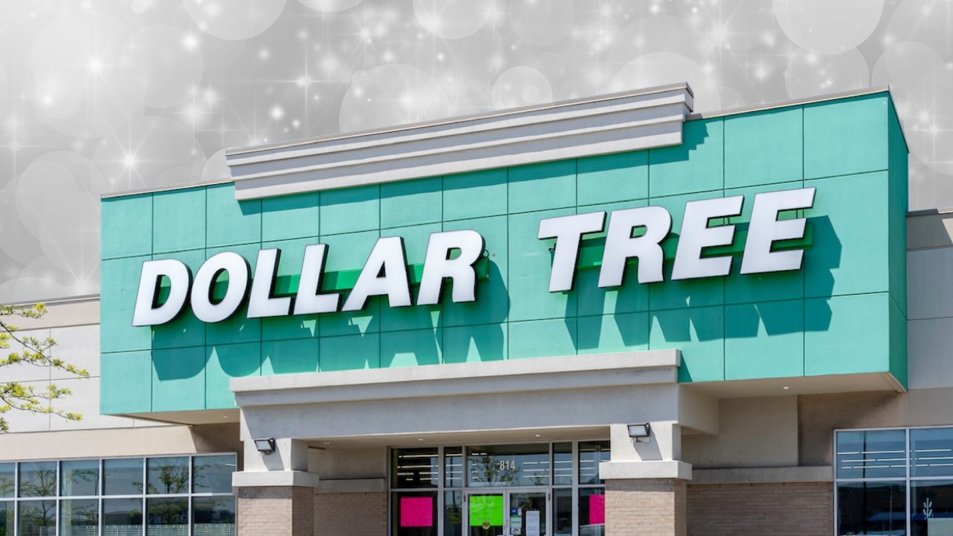 7 Best Dollar Tree New Arrivals Landing in Stores This January