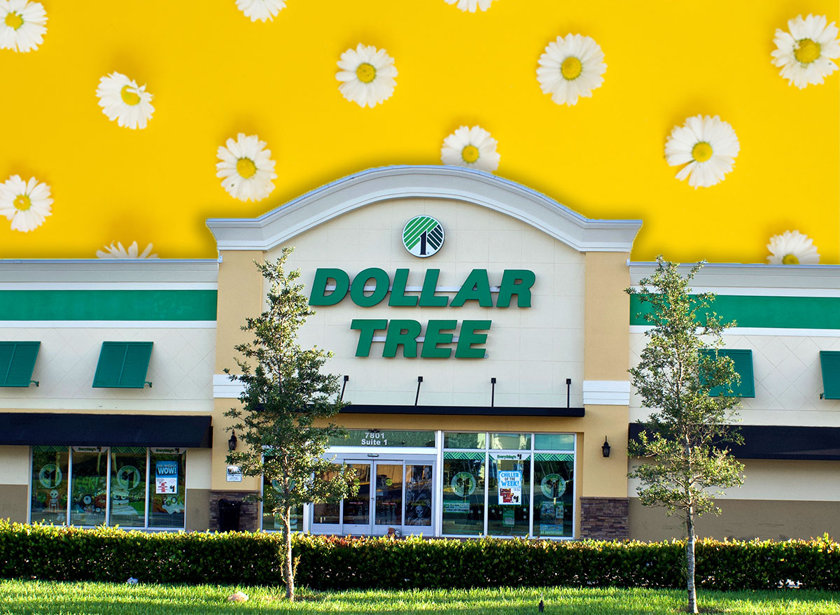 11 Best New Dollar Tree Home Finds and DIYs Flying Off Shelves This Week