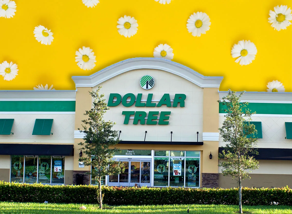 11 Best New Dollar Tree Home Finds and DIYs Flying Off Shelves This Week