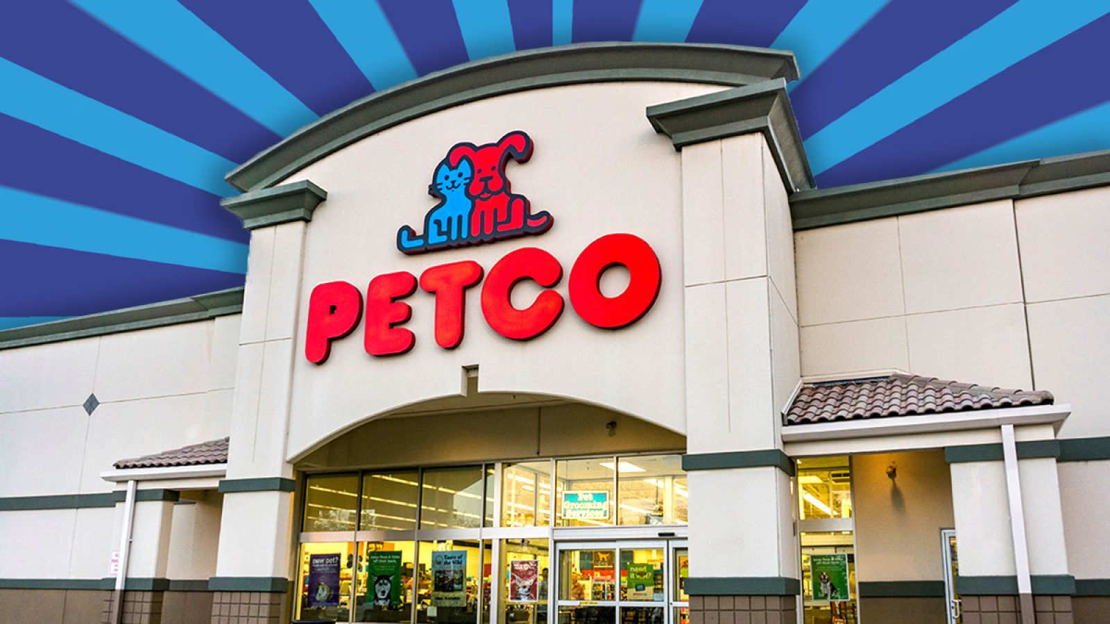 7 Best Petco New Arrivals Hitting Shelves This Week