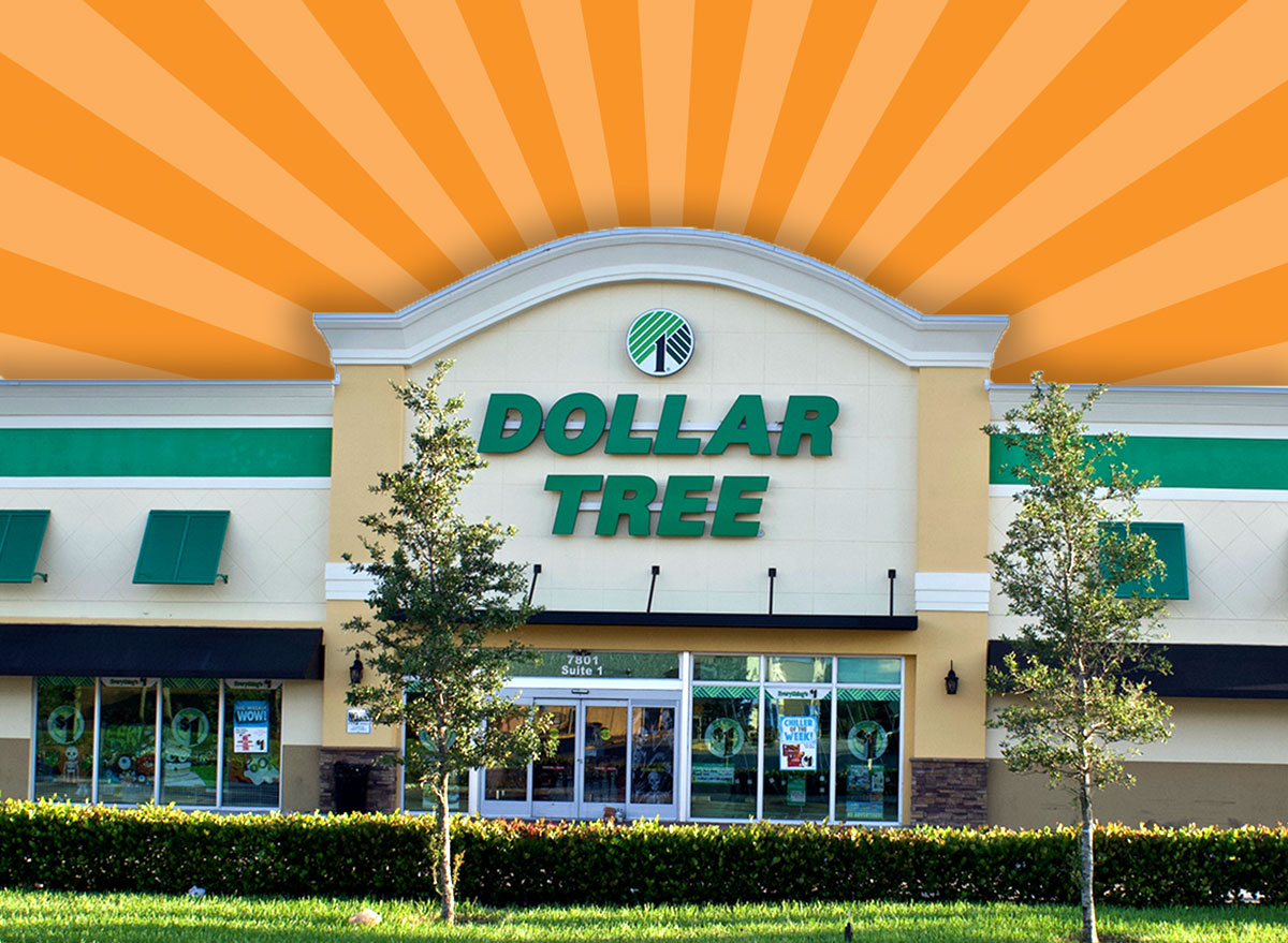 7 Best Dollar Tree "New Arrivals" Hitting Shelves as April Begins