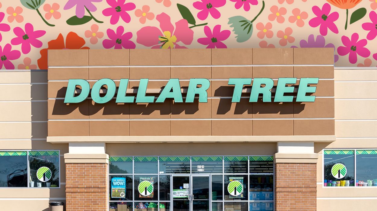 11 Best New Dollar Tree Spring Finds Hitting Shelves This Week