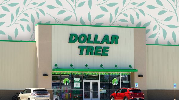 7 Best New Dollar Tree Living Room Finds Hitting Shelves Right Now