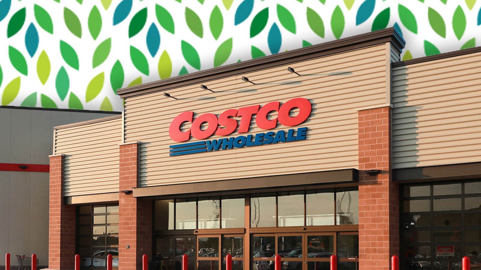 7 Best New Costco Outdoor Finds Under $20