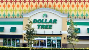 11 Best Dollar Tree Home Organization Finds Flying Off Shelves