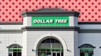 7 Best New Dollar Tree Storage Finds Flying Off Shelves This Week