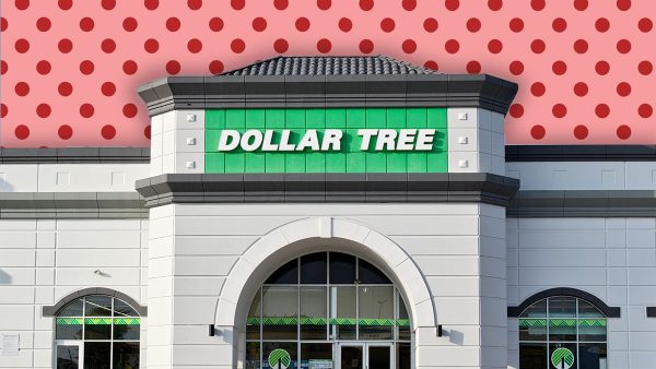 7 Best New Dollar Tree Storage Finds Flying Off Shelves This Week