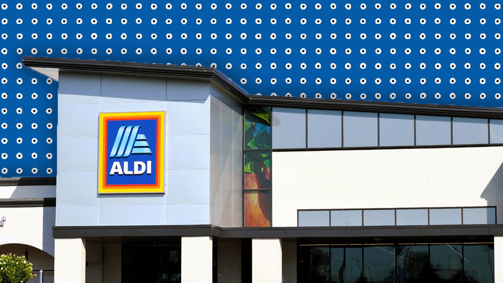 11 Best New Aldi Outdoor Finds Under $20