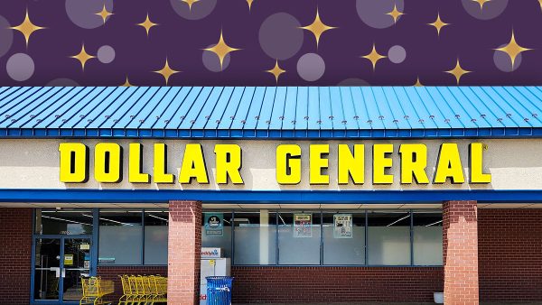 11 Best New Dollar General Garden Finds Under $15