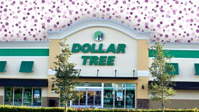 11 Best New Dollar Tree Backyard Finds Under $5