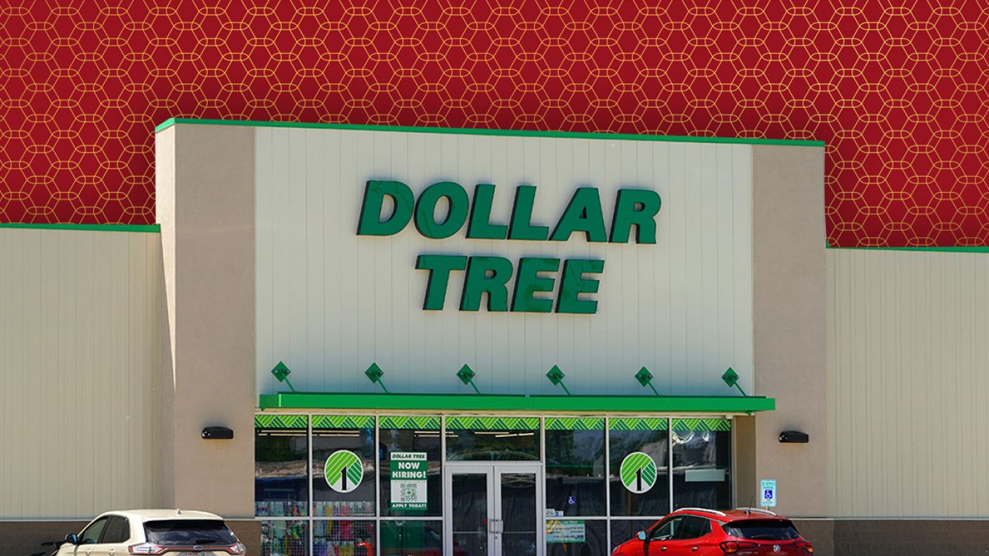 10 Best New Dollar Tree Finds That Look Far More Expensive Than They Are