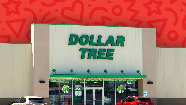 7 Best New Dollar Tree Home Organization Finds Under $10