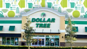 11 Best New Dollar Tree Kitchen Finds Under $10
