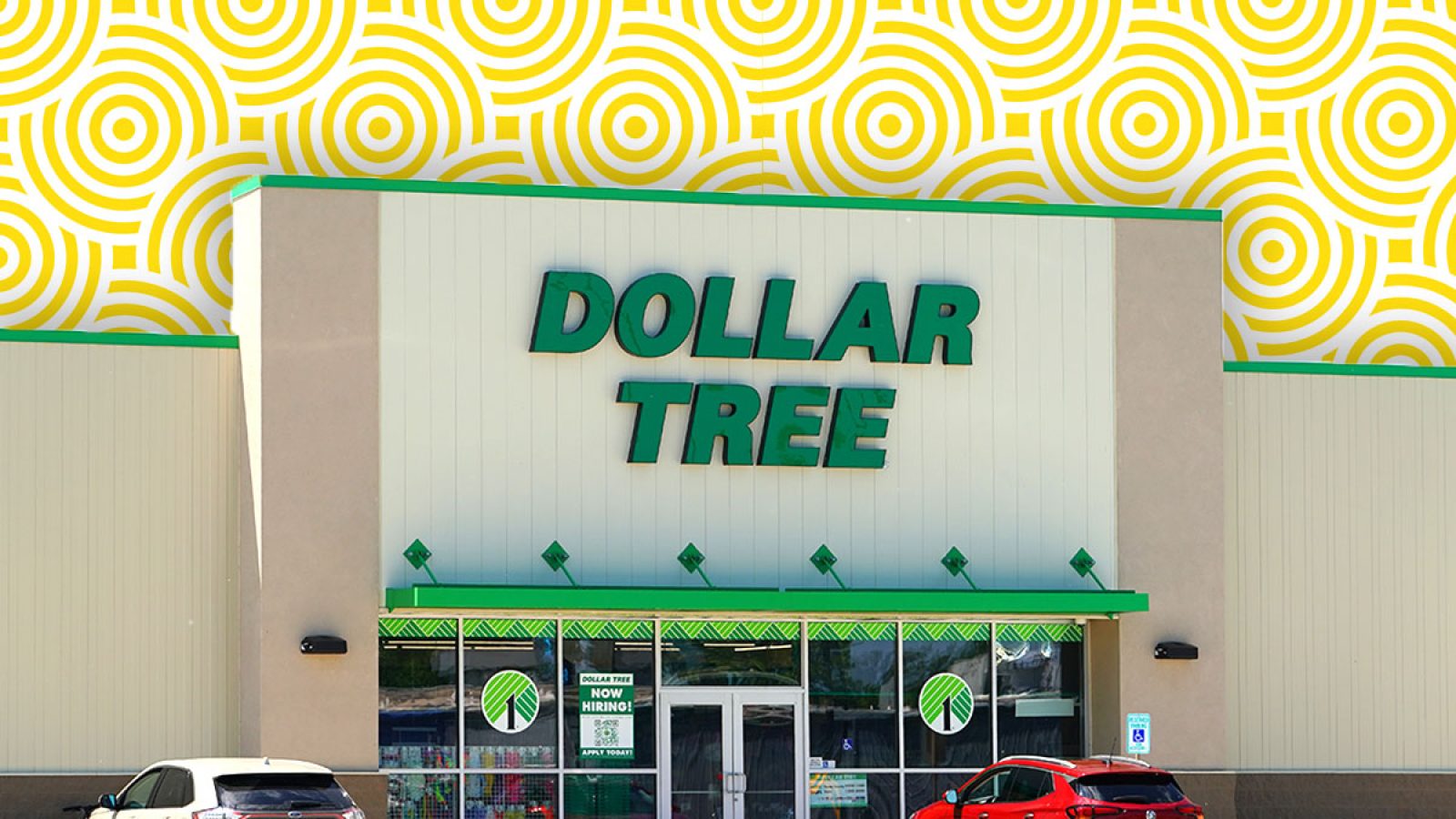 11 Best New Dollar Tree Kitchen Finds Under $5