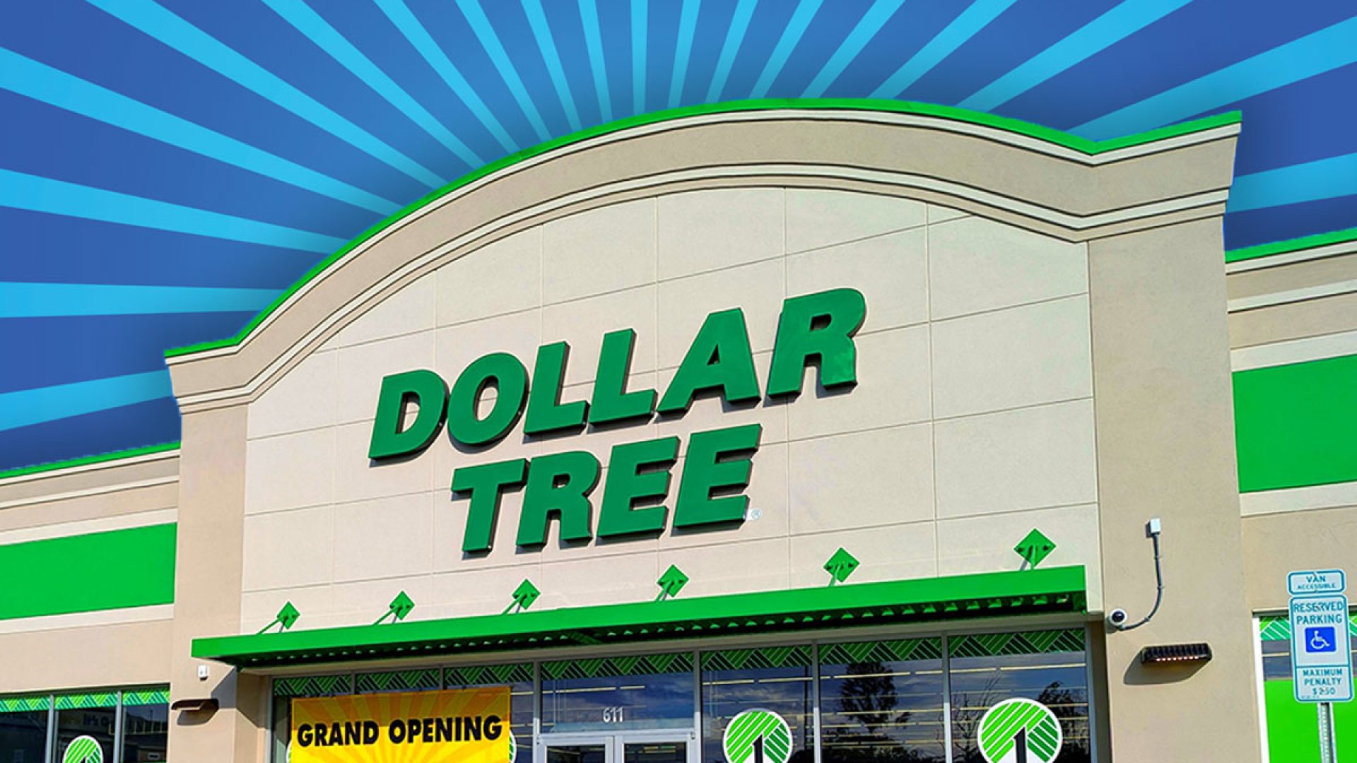 11 Best New Dollar Tree New Arrivals Hitting Shelves in June
