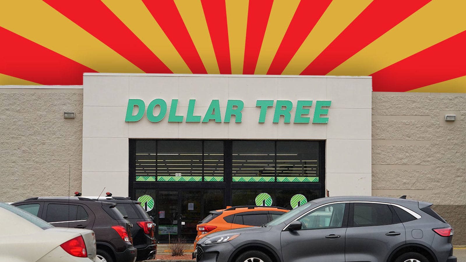 11 Best New Dollar Tree Organization Finds Under $5