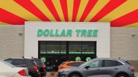11 Best New Dollar Tree Organization Finds Under $5