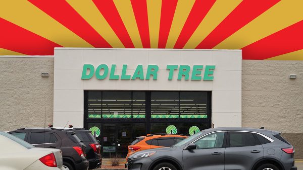 11 Best New Dollar Tree Organization Finds Under $5