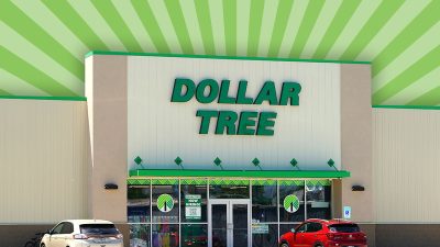 11 Best New Dollar Tree Outdoor Finds Under $6