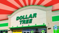 11 Best New Dollar Tree Pantry Organization Finds For $1.50