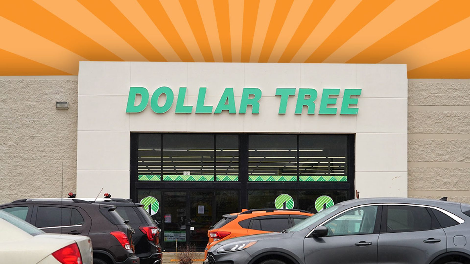 11 Best New Dollar Tree Bathroom Finds Under $10