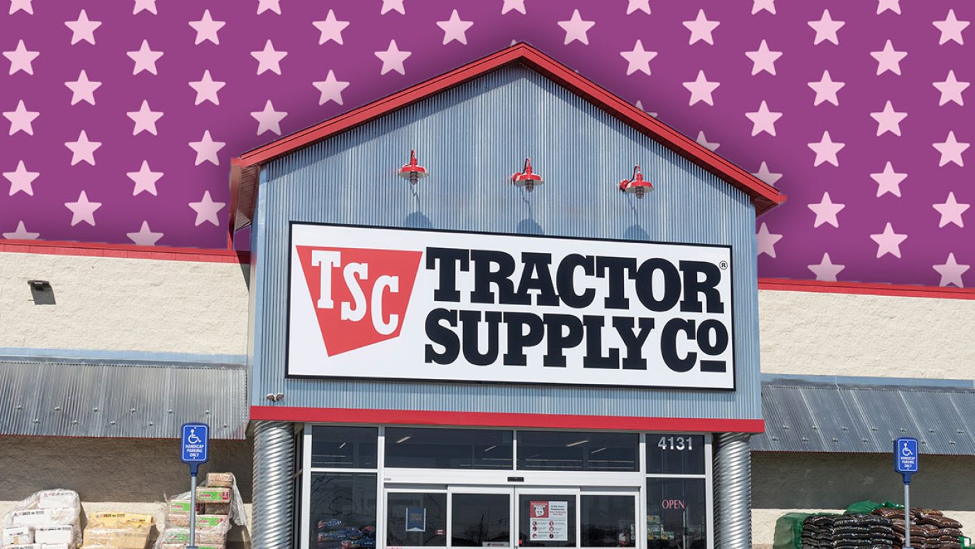 11 Best New Tractor Supply Backyard Finds Under $20