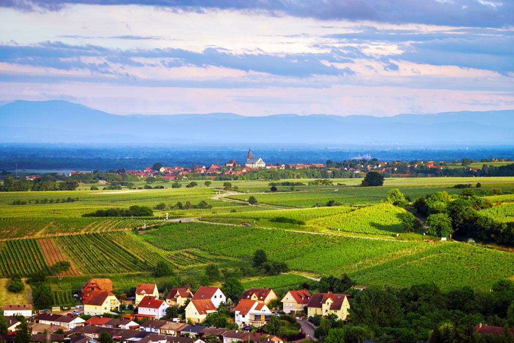 50 Facts About Happiness That Will Change the Way You Think Forever ...