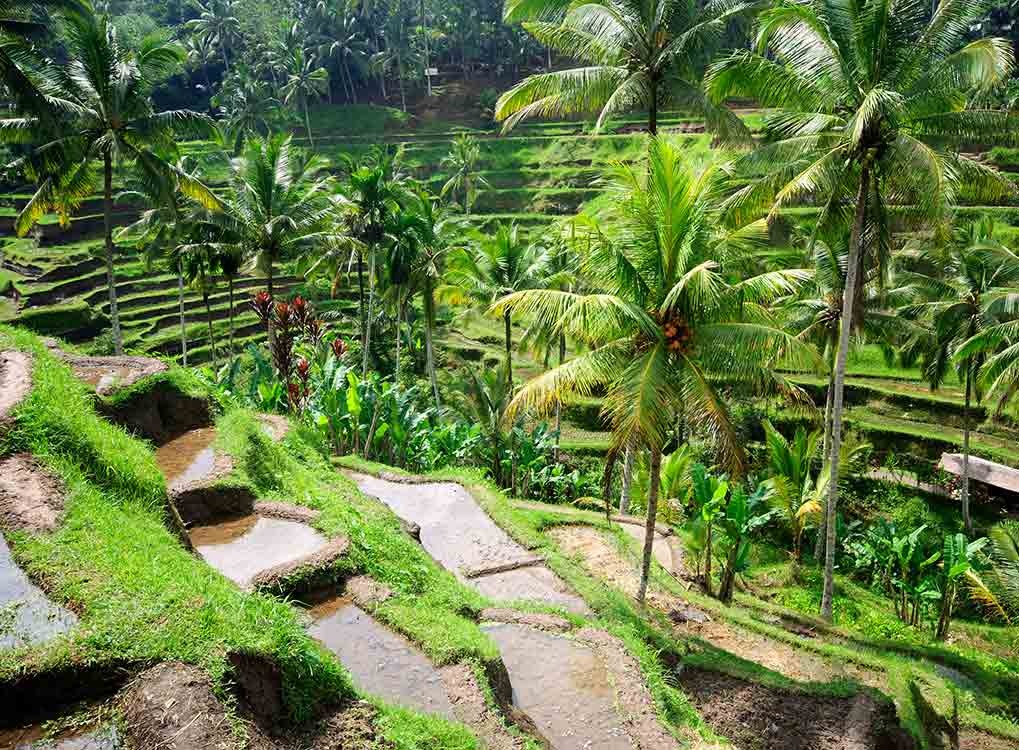 The 5 Best Exotic Getaways for 2018 — Best Life