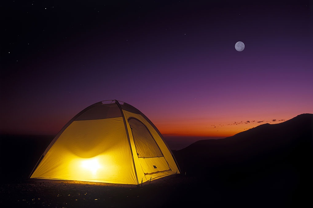 30 Urban Legends That Are Totally True — Best Life
