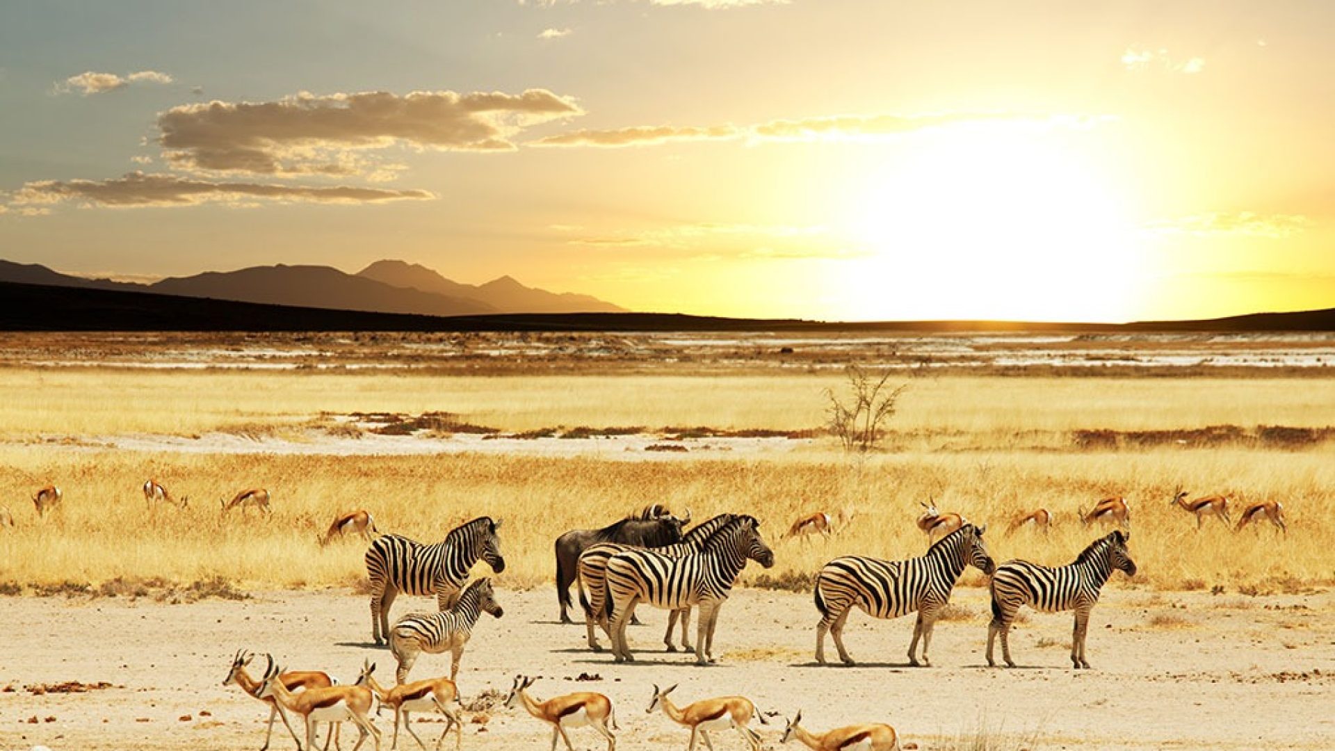 Best Safaris and Luxury Desert Experiences — Best Life