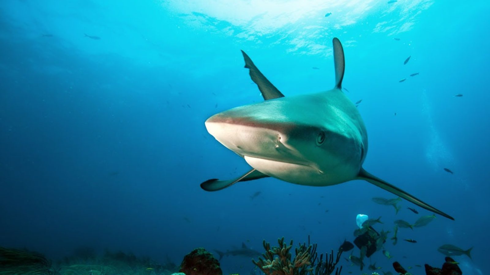 30 Things You Always Believed That Aren't True